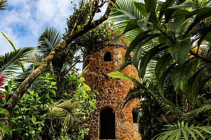 Half Day Adventure Private Tour in El Yunque Rainforest - Price Analysis and Value