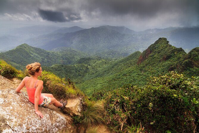 Half Day Adventure Private Tour in El Yunque Rainforest - The Sum Up