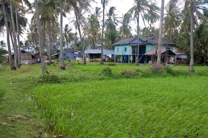 Half-Day Adventure to the Pepper Farm by Scooter - Practical Tips for Participants