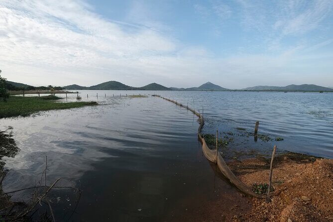 Half-Day Adventure to the Pepper Farm by Scooter - The Sum Up