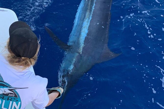 Half Day Afternoon Angler Charter - Discovering the Experience: What You Can Expect
