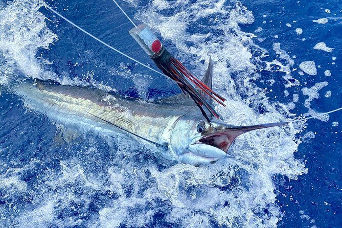 Half Day Afternoon Angler Charter - Best Fits and Considerations