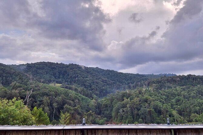 Half Day Afternoon Elephant Observation Tour in Chiang Mai - Final Thoughts