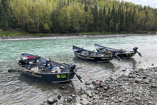 Half day Alaska Salmon Fishing on the Kenai Peninsula - Why This Tour Is Worth It