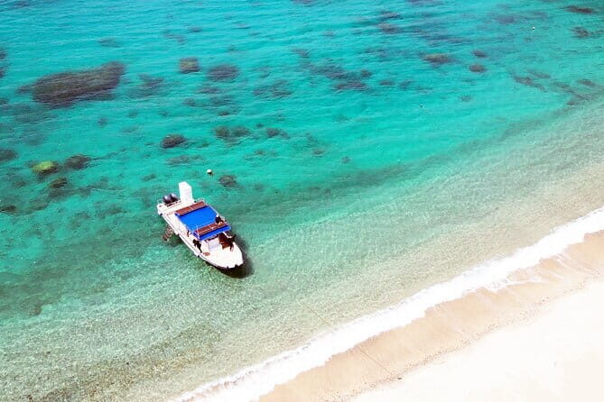 Half Day Amami Japan Boat Snorkeling Adventure - What Do Travelers Say?