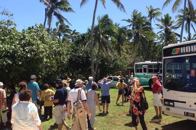 Half-Day Anahulu Cave and Cultural Tour - Who Should Consider This Tour?
