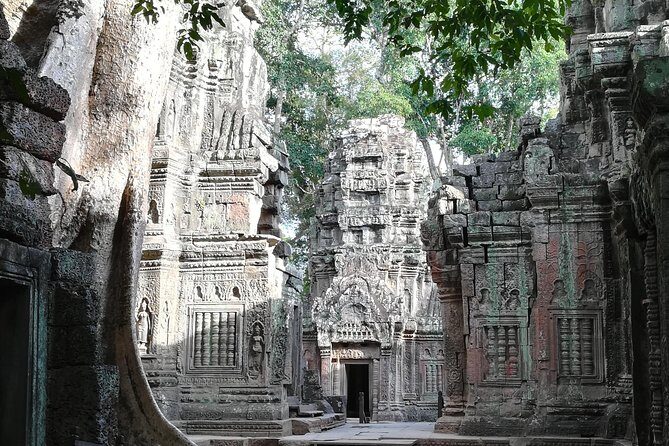 Half Day Angkor Wat Sunrise Private Tour - Authentic Experiences and Traveler Feedback