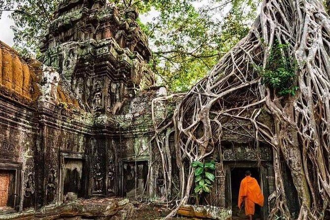 Half Day Angkor Wat Sunset Tour-Siem Reap Tour - The Sum Up