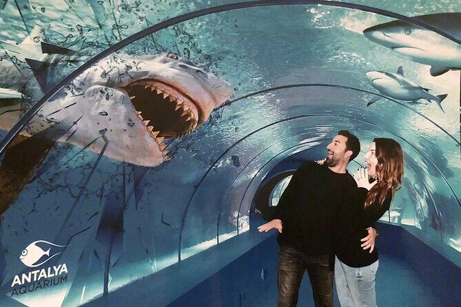 Half Day Antalya Aquarium Tour And Wax Museum - What Travelers Say