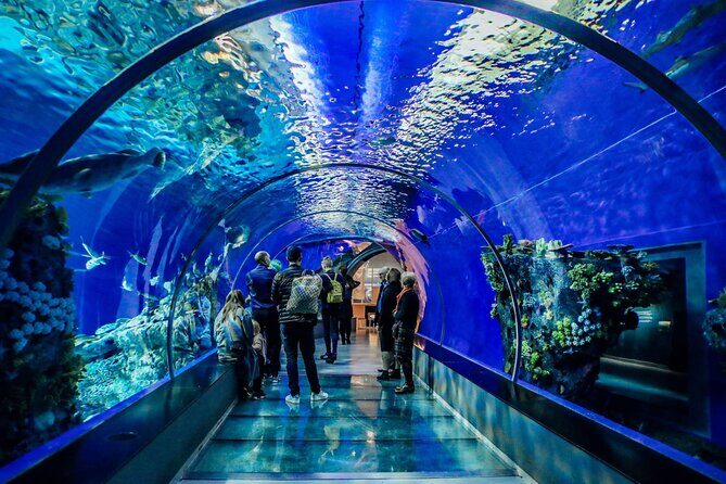 Half Day Antalya Aquarium Tour And Wax Museum - Final thoughts on the experience