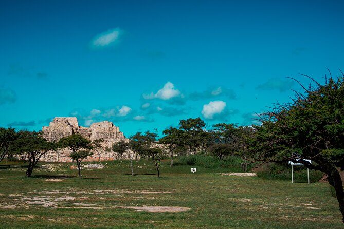 Half-Day Archeological Private Tour in San Miguel De Allende - Introduction: A Truly Personalized Archaeological Experience
