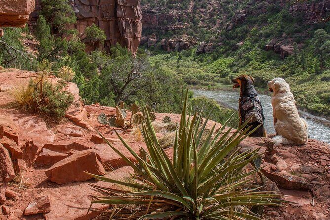 Half-Day Arkansas River - The Numbers Rafting Tour - Who Should Consider This Tour?