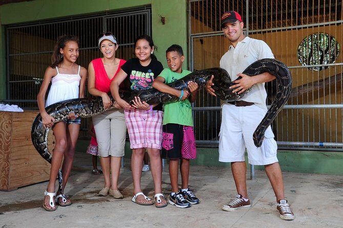 Half-Day Aruba Animal Sanctuary Guided Tour - Key Points