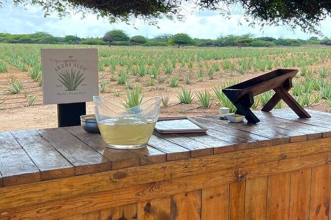 Half day Aruba Jeep Tours - Sightseeing and more - The Sum Up