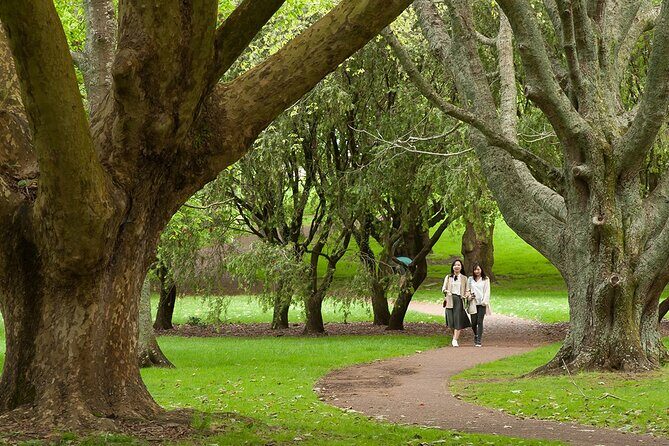 Half-Day Auckland City Sightseeing Small Group Tour - An In-Depth Guide to the Tour Experience