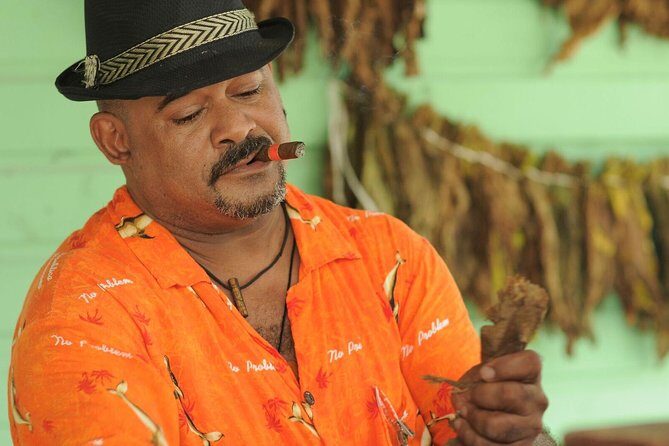 Half-Day Authentic Safari and Traditional Combo - Key Points