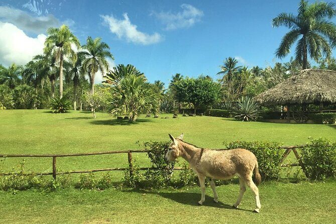 Half-Day Authentic Safari and Traditional Combo - Who Will Love This Tour?