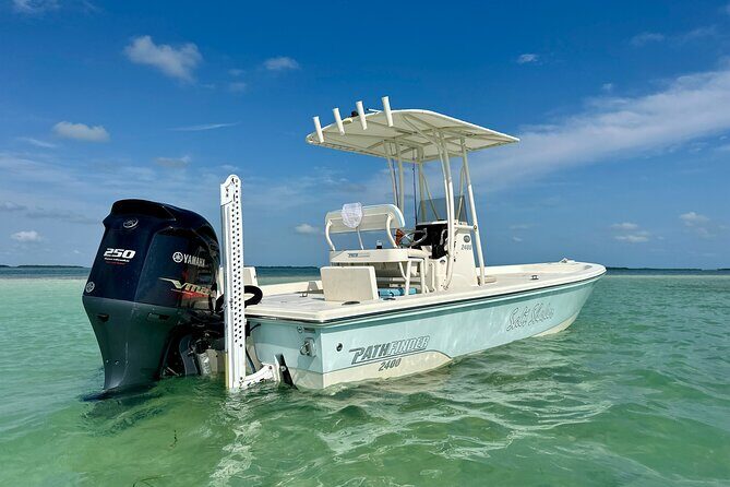 Half-Day Backcountry Fishing Charter from Key West - The Experience in Detail