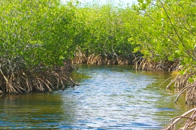 Half-Day Backwater Fishing in Naples, Florida - FAQ