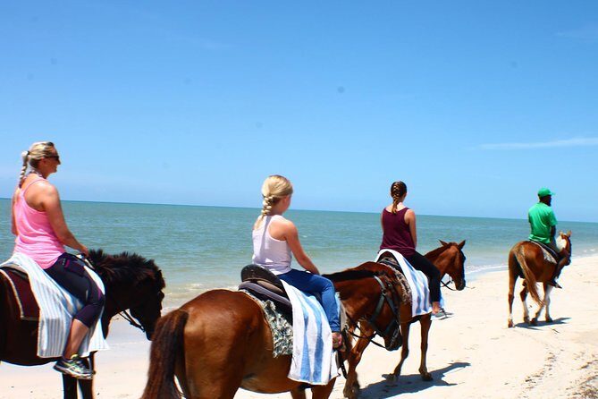Half Day Beach Horseback Riding in Ocho Rios + Lunch - Practical Details: What You Need to Know