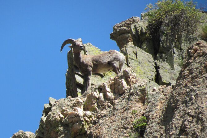Half day Beg/Inter Rafting near Ft Collins - Estes Park - Boulder - The Sum Up