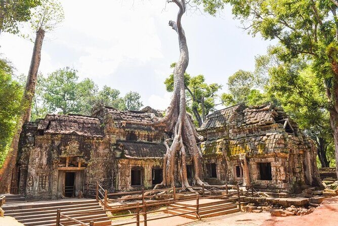 Half-Day Bike Tour in Angkor Park - Key Points