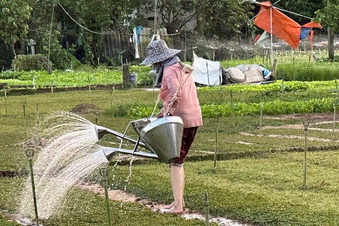 Half day Bike Tour in Hi An Countryside - Key Points