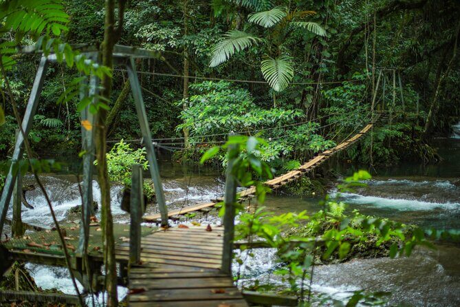 Half Day Blue Lagoon and Cascades Tours - An In-Depth Look at the Experience