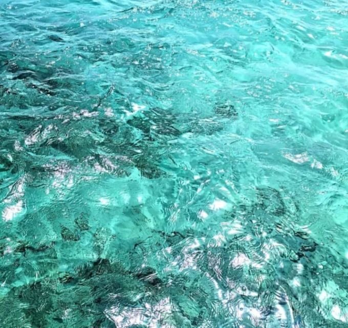 Half-Day Blue Lagoon and Trogir boat tour from Split - Frequently Asked Questions