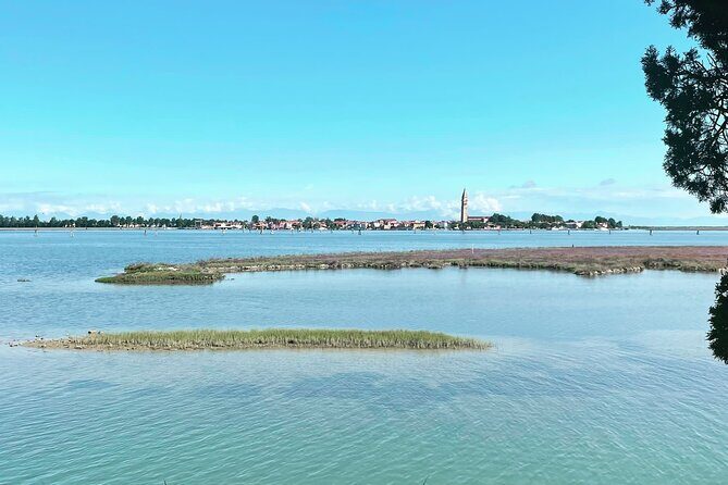 Half Day Boat Tour between Venice and the Islands - The Practical Side: Transportation, Group Size & Timing