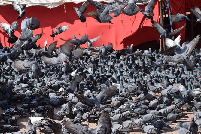 Half Day Boudhanath Stupa Tour in Kathmandu - What the Reviews Say