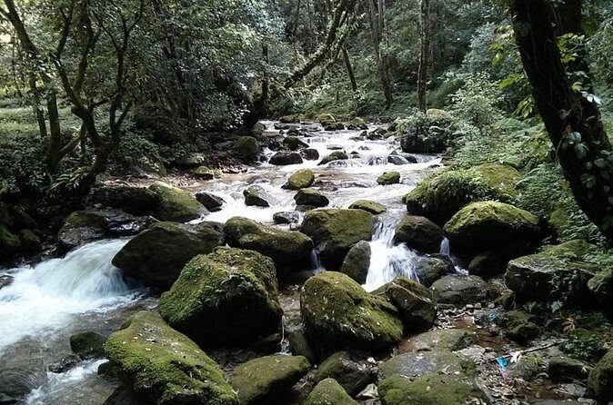 Half day Budaneelkantha hiking tour - Pricing and Value