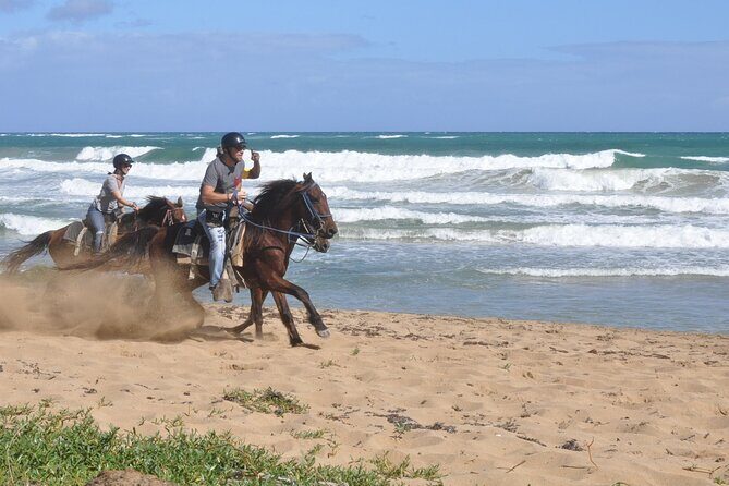 Half Day Buggies and Horseback Experience in Punta Cana - An Honest Look at the Itinerary and Experience
