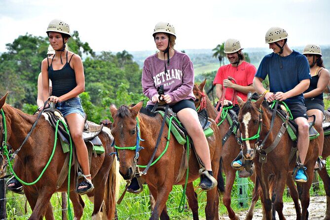 Half-Day Buggy and Horseback Riding Experience in Punta Cana - The Sum Up