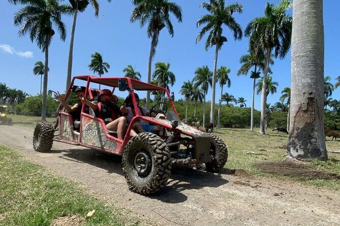 Half-Day Buggy Guided Adventure for Amber Cove and Taino Bay - Final Thoughts
