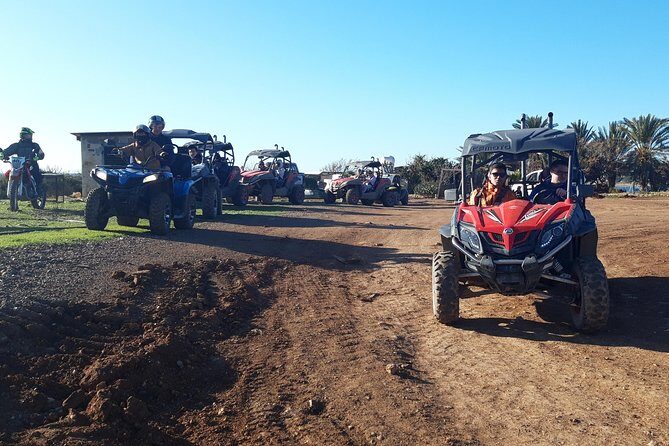 Half-Day Buggy Safari to Akamas Peninsula with Lunch - Who Should Consider This Tour?