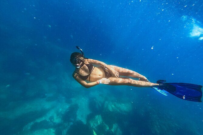 Half Day Cabo Snorkel Adventure with Lunch and Open Bar - Authentic Guest Experiences and Insights