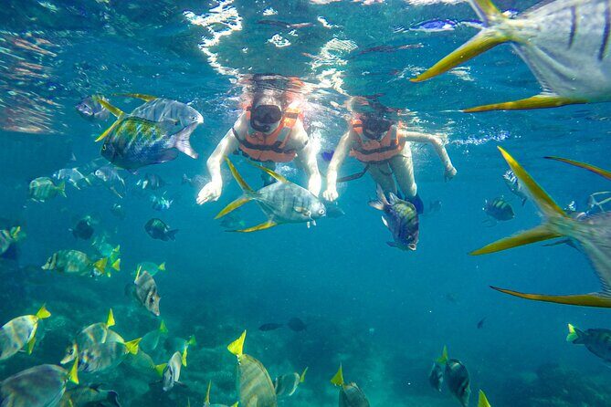 Half Day Cabo Snorkel Adventure with Lunch and Open Bar - Final Thoughts: Who Should Consider This Tour?