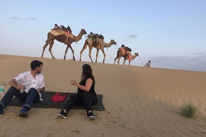 Half Day Camel Safari Sunset with Dinner Tour (Non Touristic) - Discover the Serenity of a Sunset Camel Safari in Jaisalmer