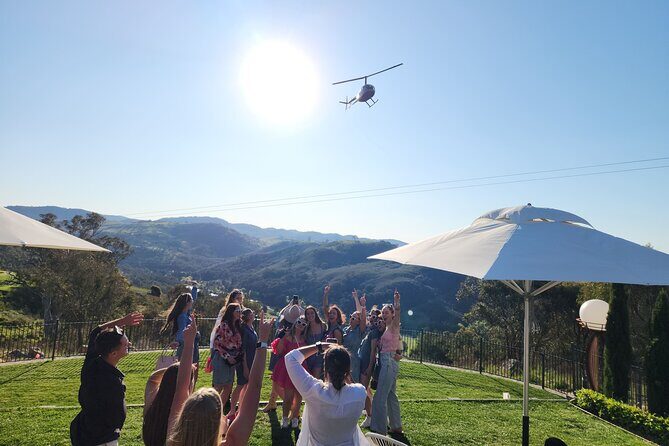 Half-Day Canberra Winery Tour to Murrumbateman /w lunch - Who Will Love This Tour?