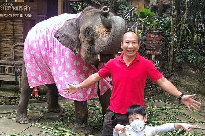 Half Day Car Hire with English Speaking Driver - What Past Travelers Say