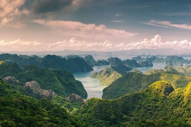 Half-Day Cat Ba National Park Trek & Hidden Cave with Pro Guide - What to Expect from the Tour