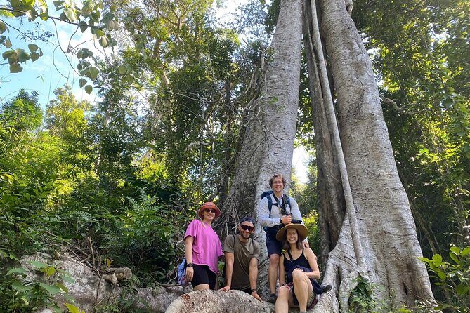 Half-Day Cat Ba National Park Trek & Hidden Cave with Pro Guide - Exploring Cat Ba National Park