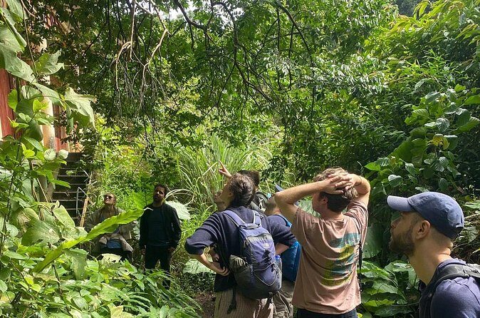 Half-Day Cat Ba National Park Trek & Hidden Cave with Pro Guide - FAQs