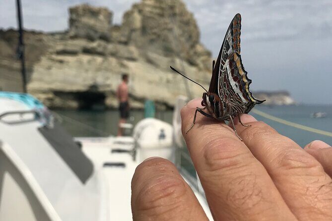 Half day Catamaran Morning Cruise in Kleftiko - Visiting the Sikia Cave