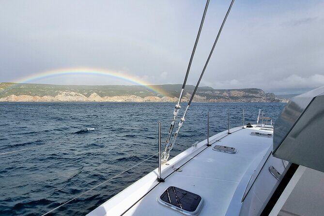Half Day Catamaran Tour in Algarve - Lagos - Key Points