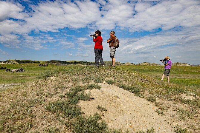 Half Day Chasing Horses Wildlife Photography Experience in North Dakota - Key Points
