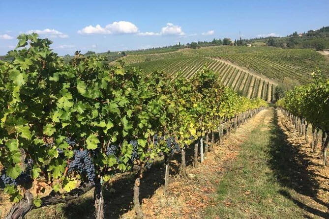 Half-day Chianti Classico Wine tour from Florence - Small Group - FAQ