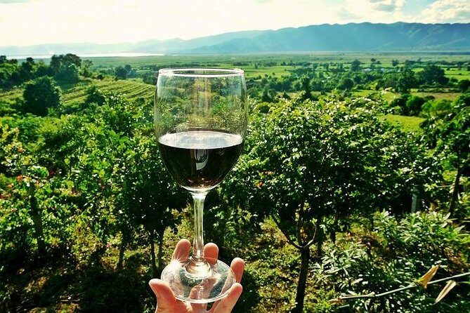 Half-Day Chianti Wine and Olive Oil Tour from Viareggio - An Honest Look at the Half-Day Chianti Wine and Olive Oil Tour from Viareggio