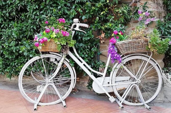 Half-Day Chianti Wine and Olive Oil Tour from Viareggio - Key Points